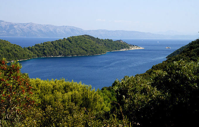 Nationalpark Mljet | Blog Yachtcharter Kroatien – Sunja Yachting