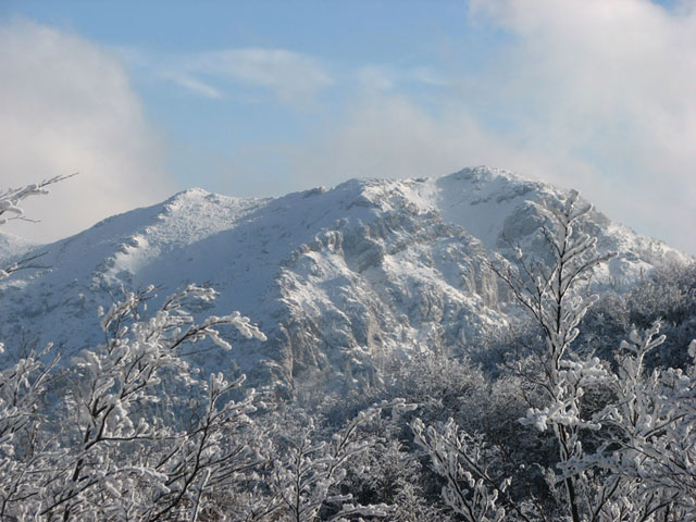 Nationalpark Risnjak | Blog Yachtcharter Kroatien - Sunja Yachting